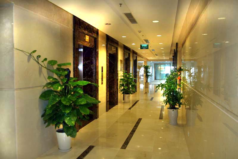 CAPITAL TOWER